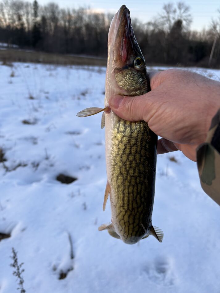 A few snot rockets today but not the intended crappies: Headed out for ...