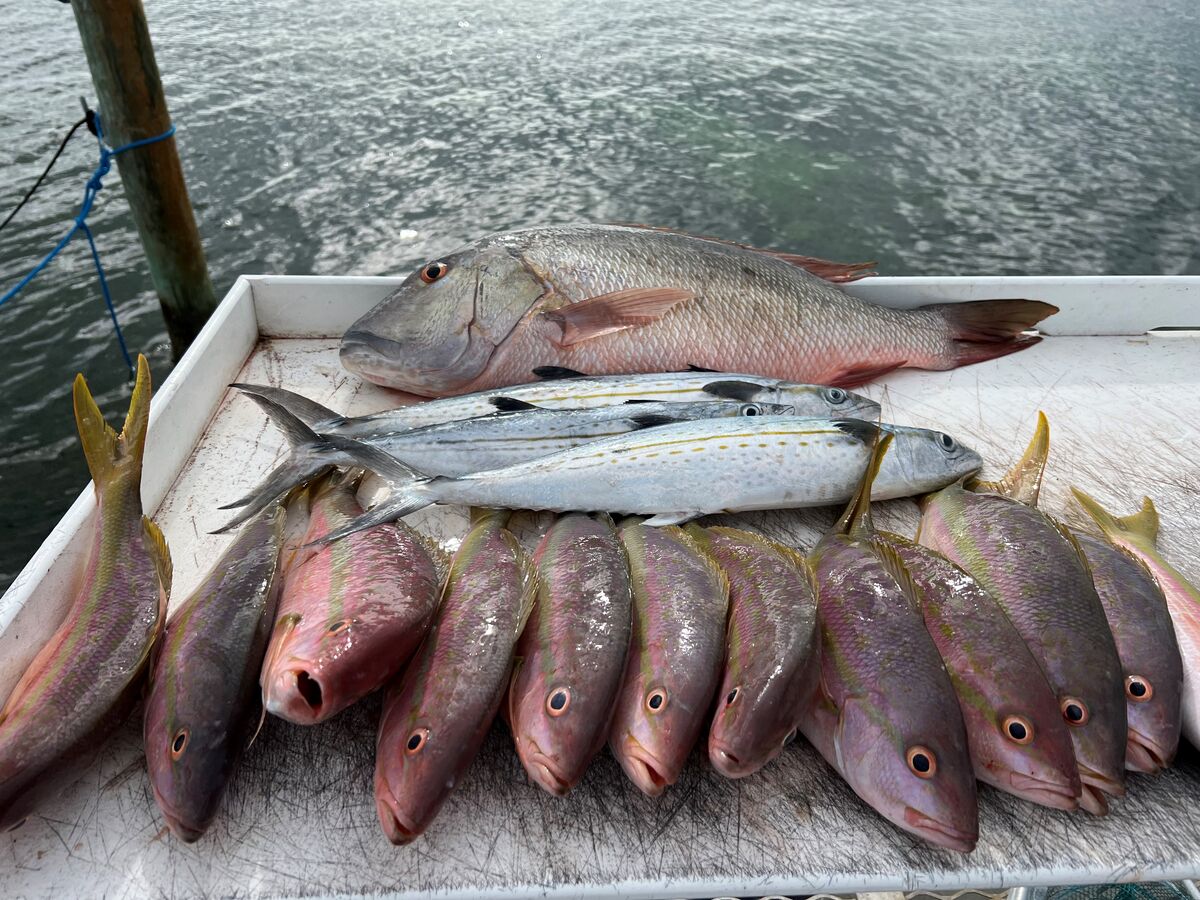 Keys Bite: Wind finally allowed us to fish on Friday and the bite was ...