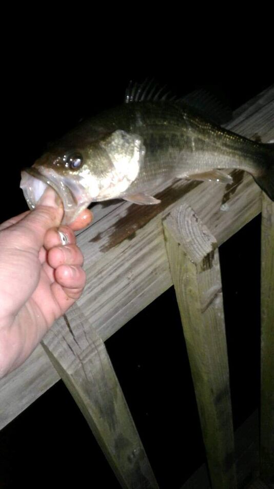 Little winner fishing: A few bass and sac-a-lait down on the chinquapin ...