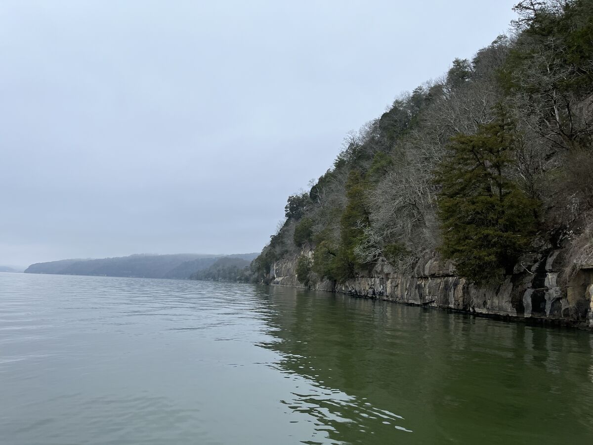 Catfishing in Alabama: What’s best bait and location to catch catfish ...
