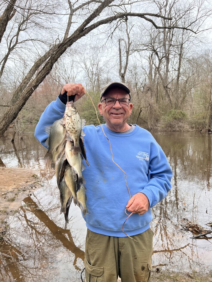Red Bridges: The spring white perch spawning run is on at Red Bridges ...