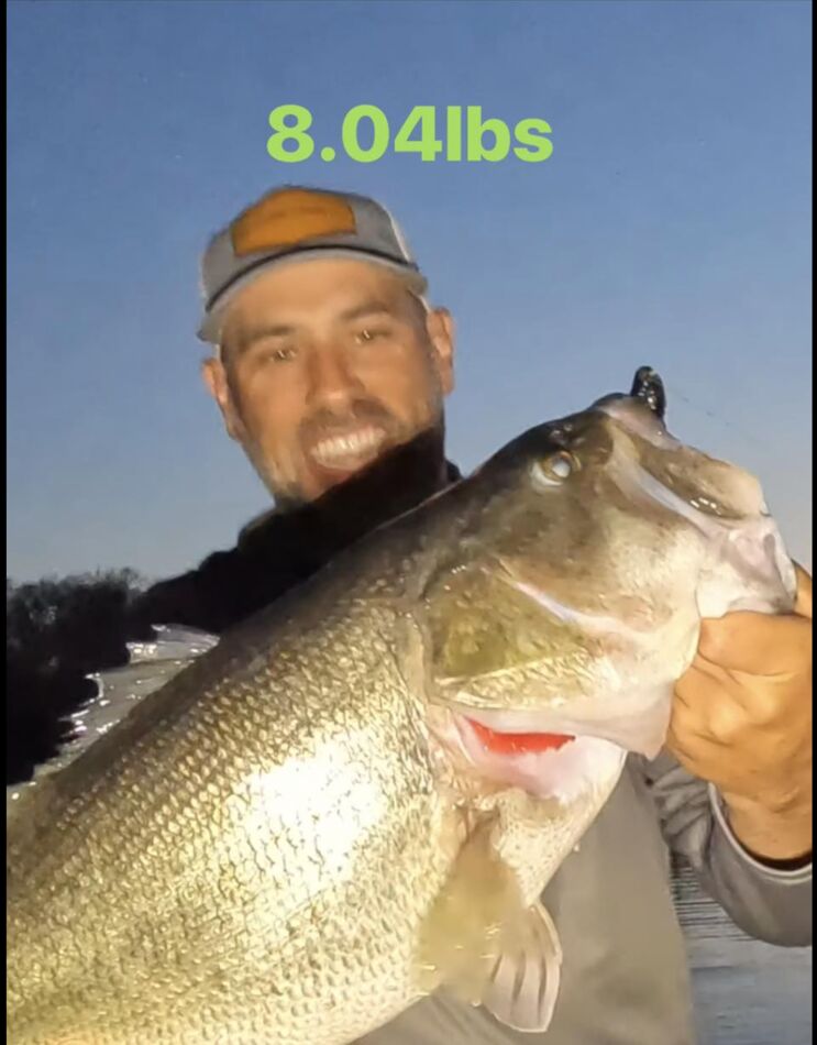 Fishing has been insane....this is the smallest of the 3 biggest fish ...