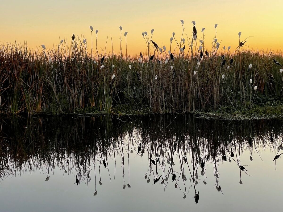 Photo of the Day # 277: Hope you enjoy Start of the day, Lake Apopka ...