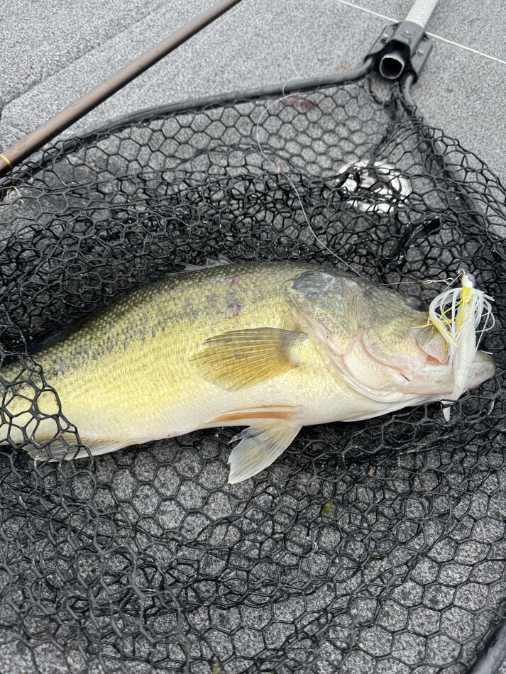 Texas New Lunker Lake Just Opened Bois D'Arc- Here is some inside info ...