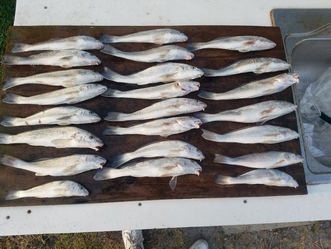 3/14/24 Fish Fry: 3/14/24 Fish fry for Brother in-law Don. Caught with ...