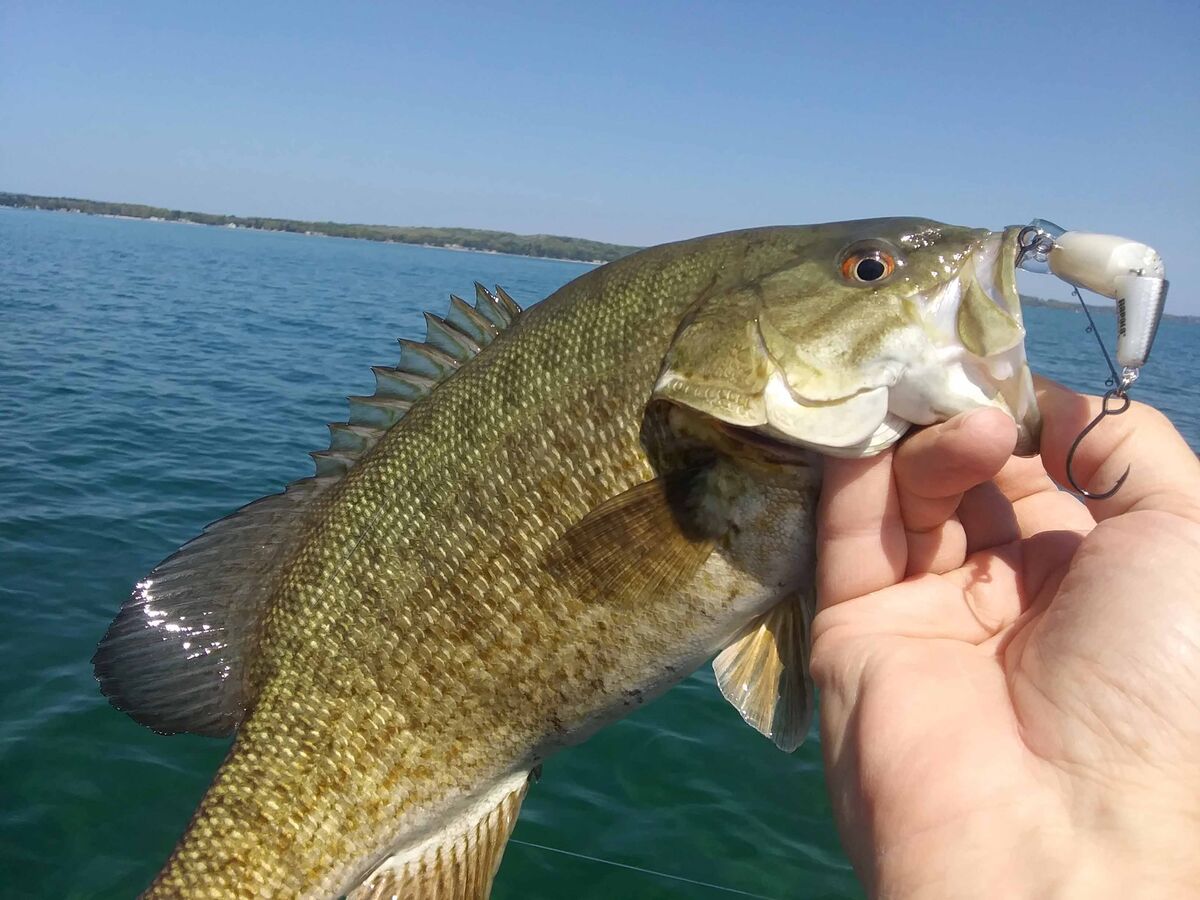 Lunch hour with the bass... Decided to skip lunch on shore and head out ...