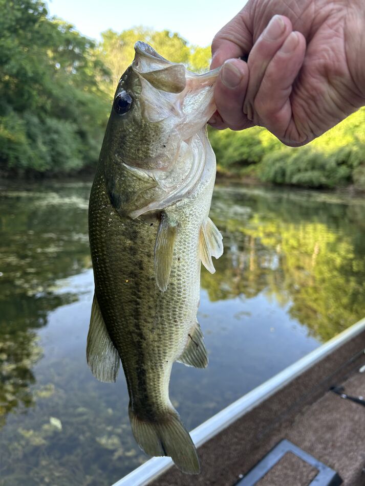 Very Windy Fishing: My brother and I got out today and were greeted by ...