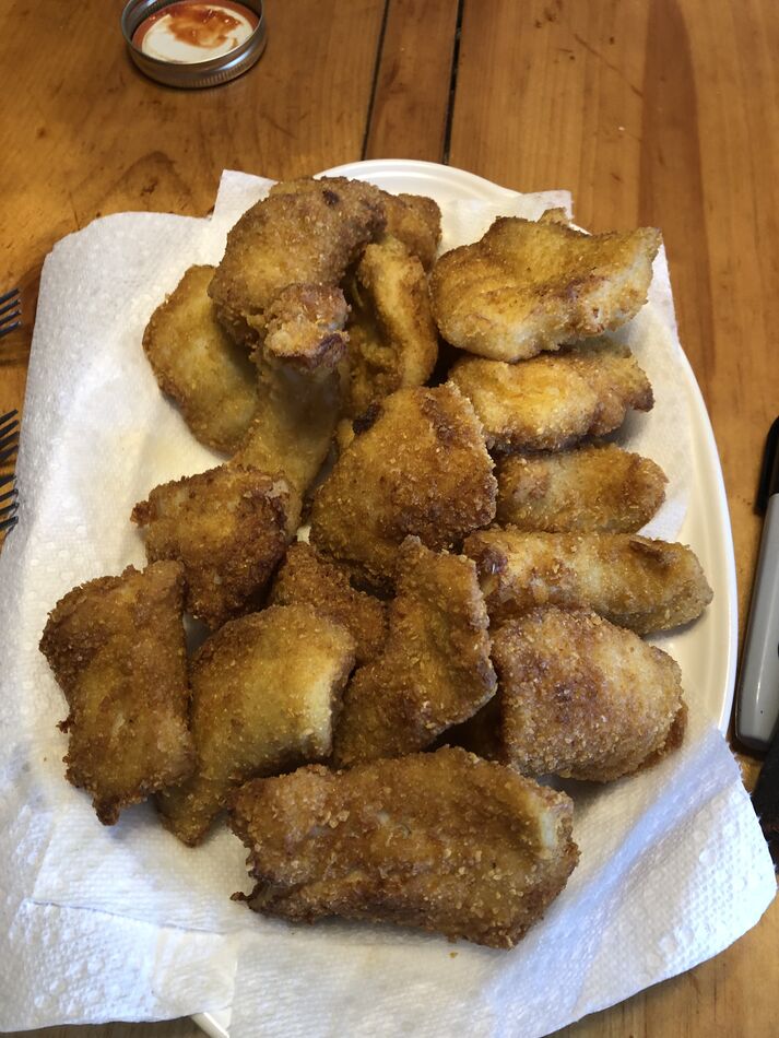 Back from vacation: Had a great week at lake Eire with my wife as my ...