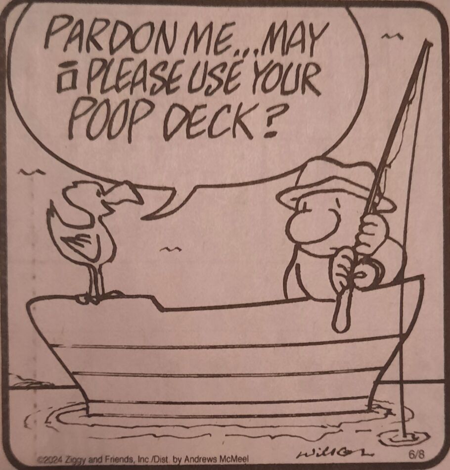 Fishing Comics: Enjoy...