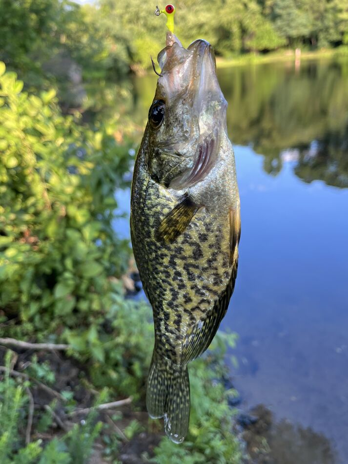 Caught 3 fish 🐠 on 3 rods: Went fishing 🎣 in 86 degrees Gropp’s Lake ...