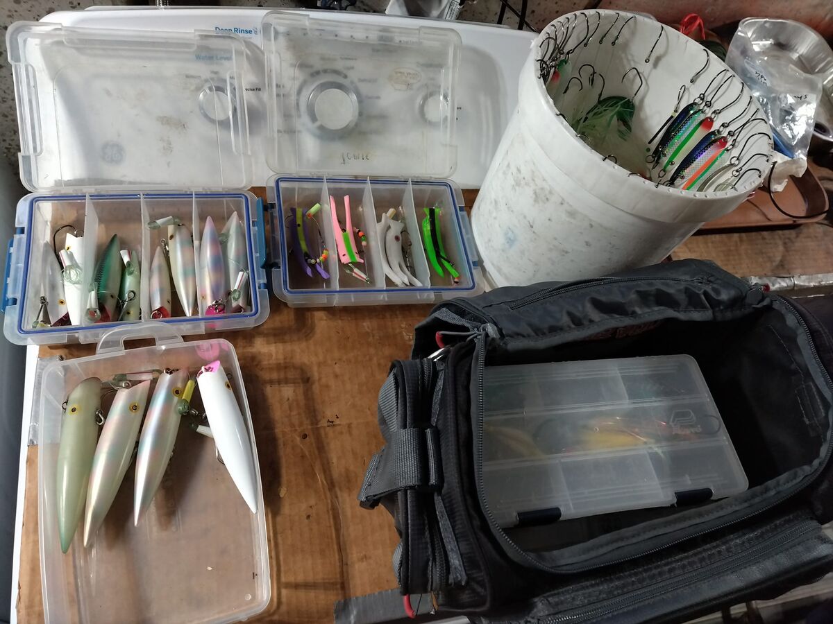 Area 10 Local Coho Chinook 2024: Managed to get out as much as possible ...