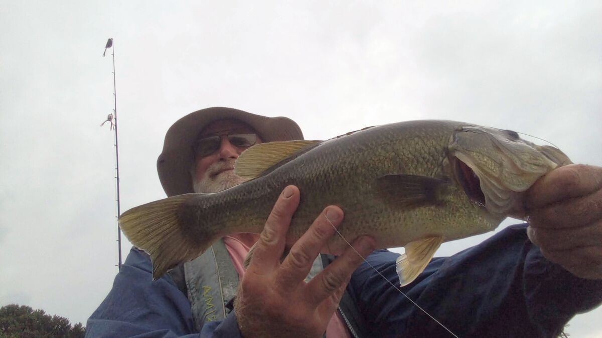 Overcast with slight showers 🐸: Got out this afternoon and it took me ...