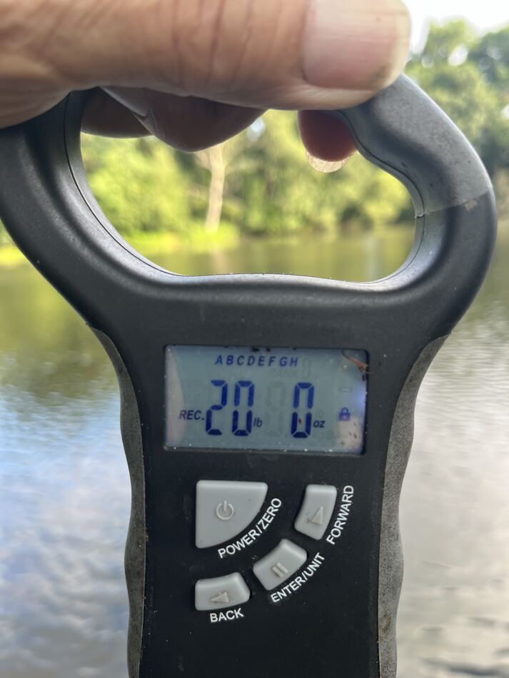 Caught and released a 20 lber: Went fishing 🎣 in 84 degrees Gropp’s ...