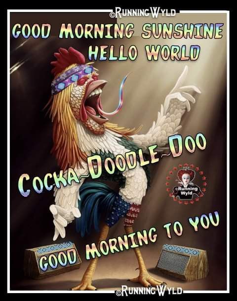 Good morning 7/8/24: Good morning folks. Back to reality, it's Monday ...