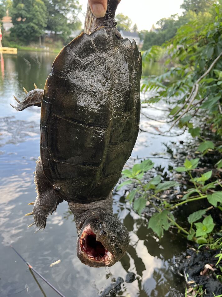11 lb 4 oz: After 5 bad fishing 🎣 trips in 5 different spots with 90 to ...