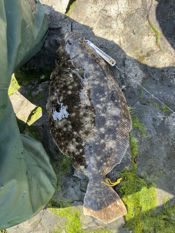 Joe: Hi,i fish in point pleasant inlet and also go hop on the Fishermen ...