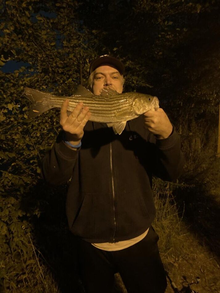 Striped Bass: One of my few keepers little neck bay Bayside, Queen’s ...
