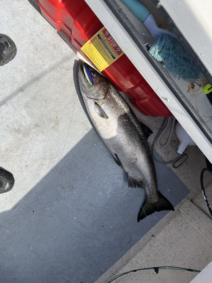 Just a little update: I fish off of a c dory 16 ft angler. Been a great ...