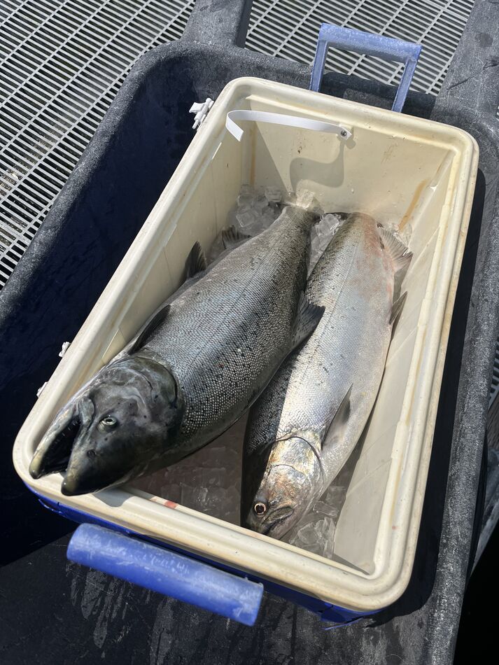 Just a little update: I fish off of a c dory 16 ft angler. Been a great ...