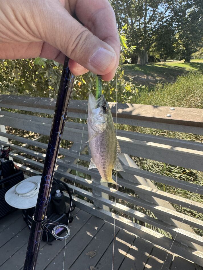 Legg Lakes (Whittier Narrows Recreation Area) and Puddingstone ...