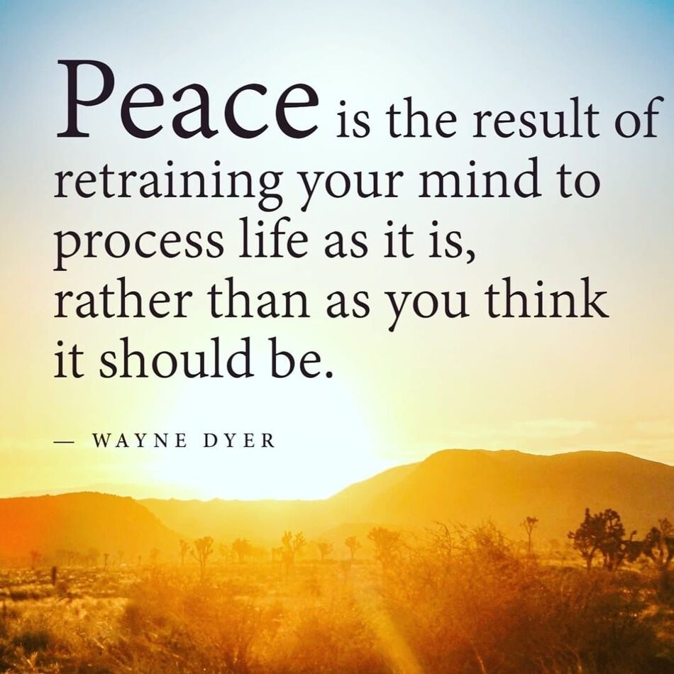 Thought for Today 8/25/24: What life is is sometimes less than optimal ...
