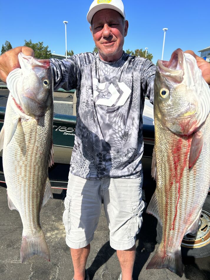 Petaluma River questions: It seems that the Petaluma River at Petaluma ...