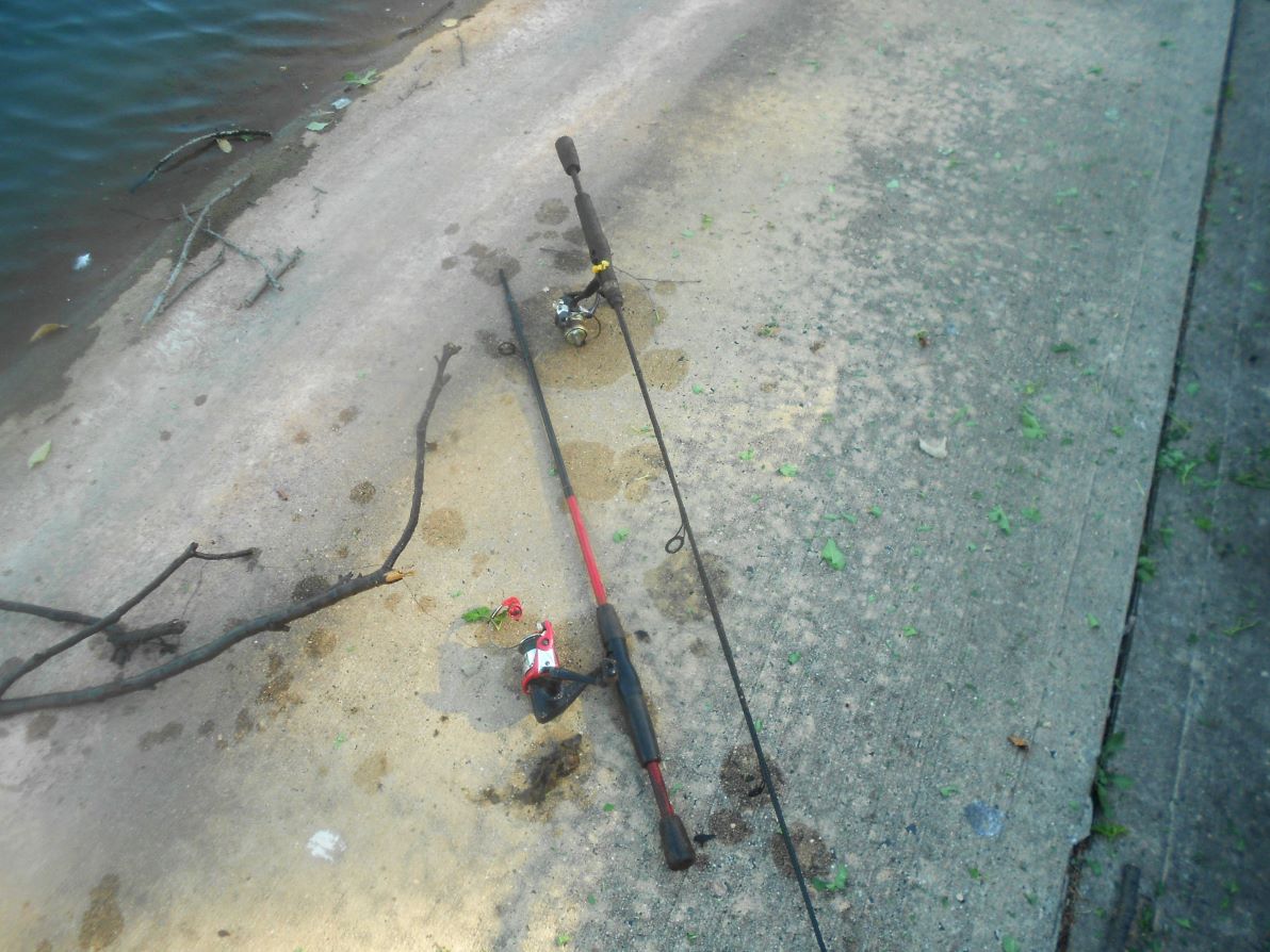Has anyone ever caught one of these? Hello friends, went fishing today ...