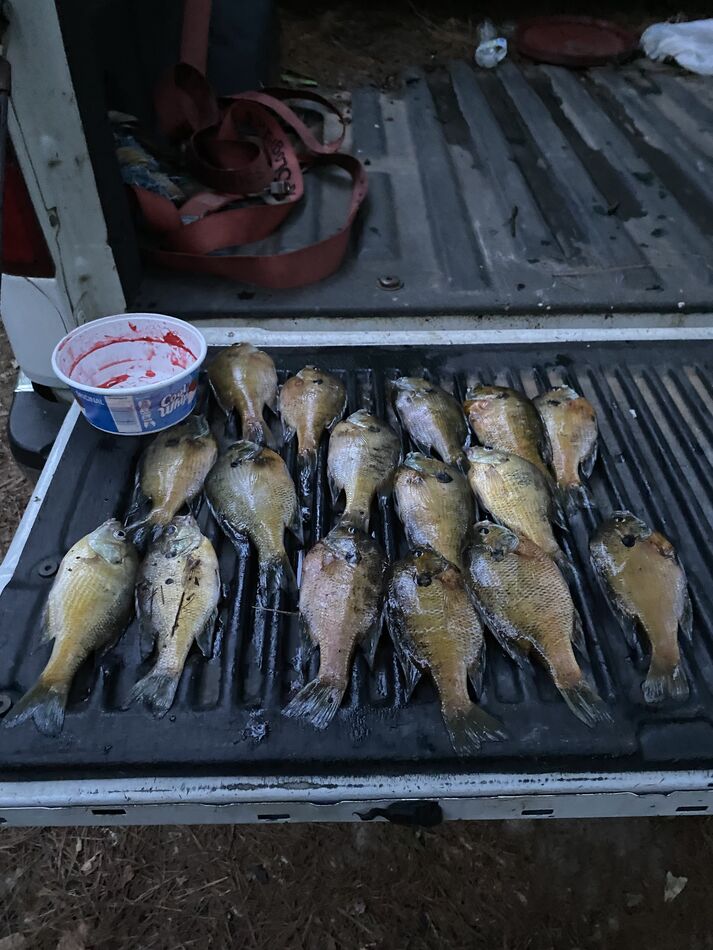 Where are fish staged at: Hi, I’m John. I live in Calhoun Louisiana ...