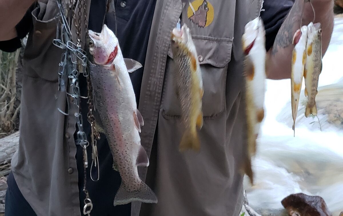 Shane from Upton, WY: I grew up in the Big Horn Basin (Basin, Greybull ...