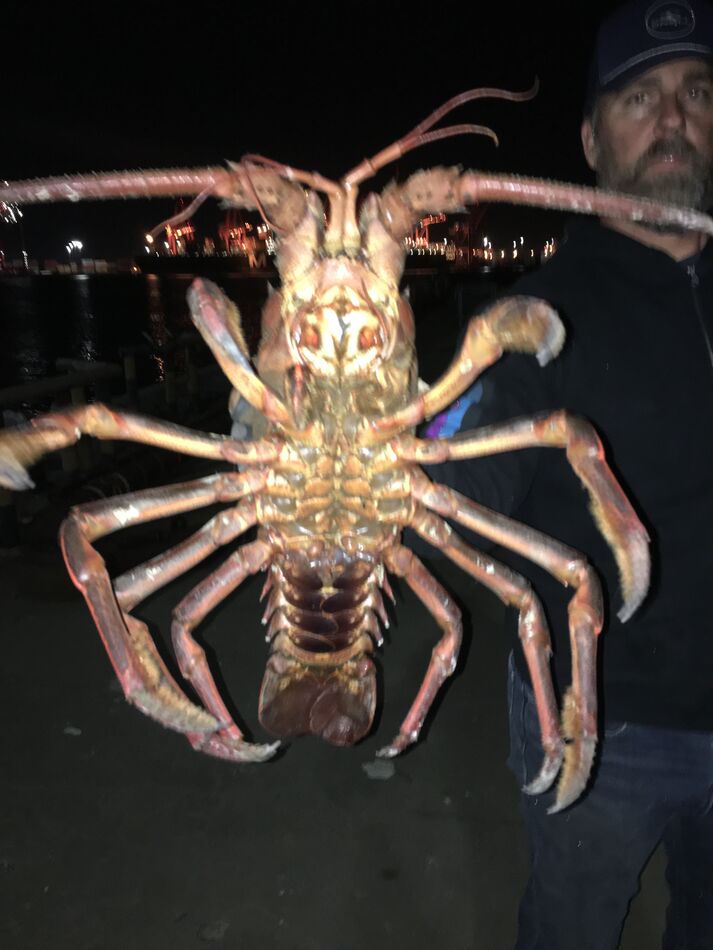 Michael from Long Beach CA: Hi, I haven’t been fishing for too long ...