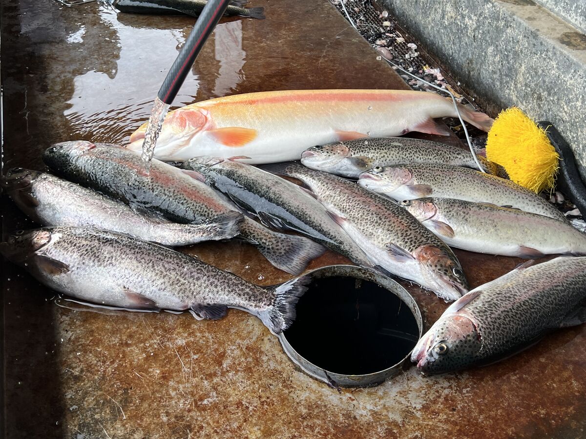 Fishing report: Hi. I go by fishing all day. Fishing report from ...