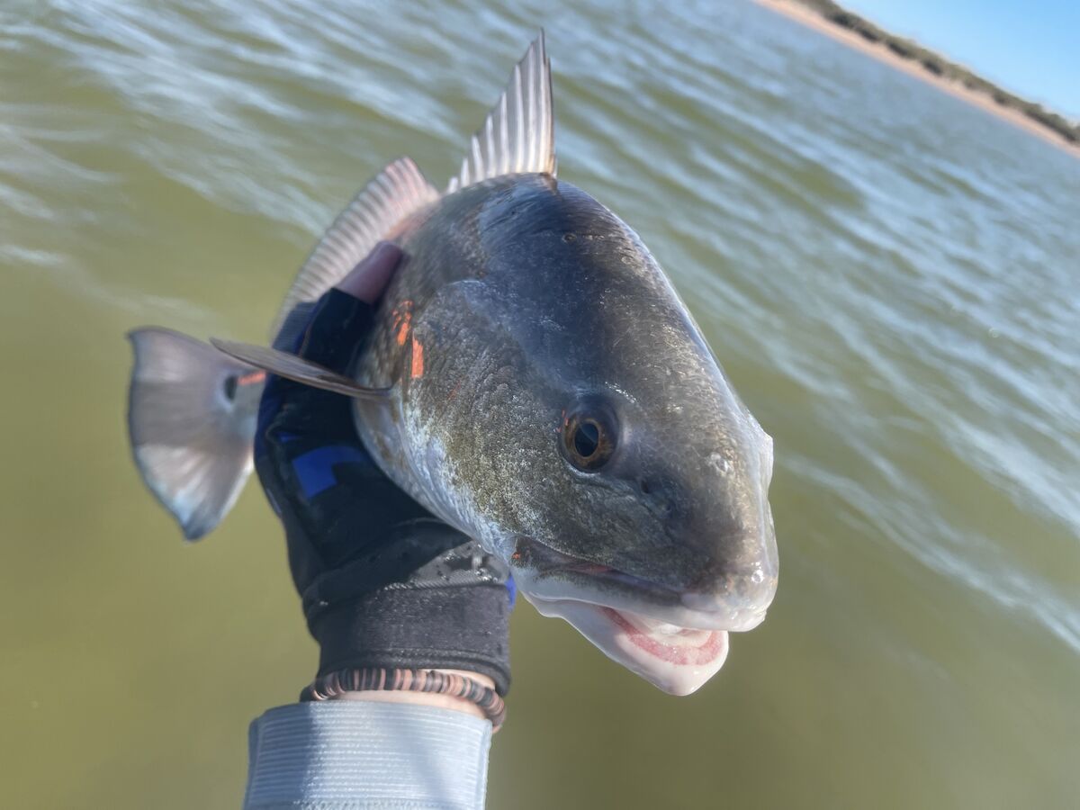 Mariner from Texas City, Texas: I like to fish. My favorite spots are ...