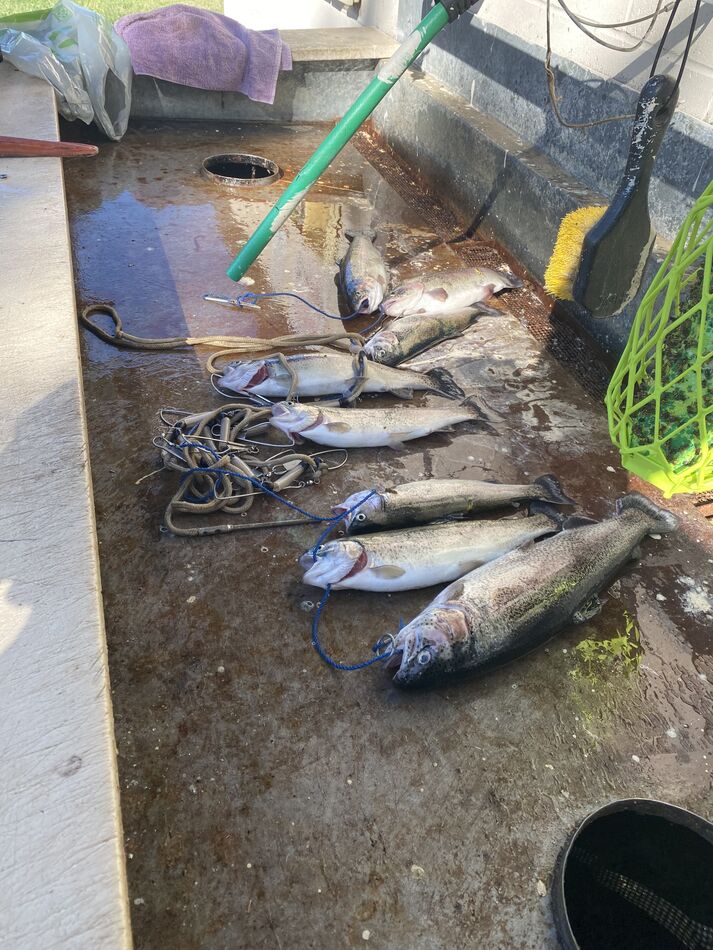 Good morning: Early morning catch...