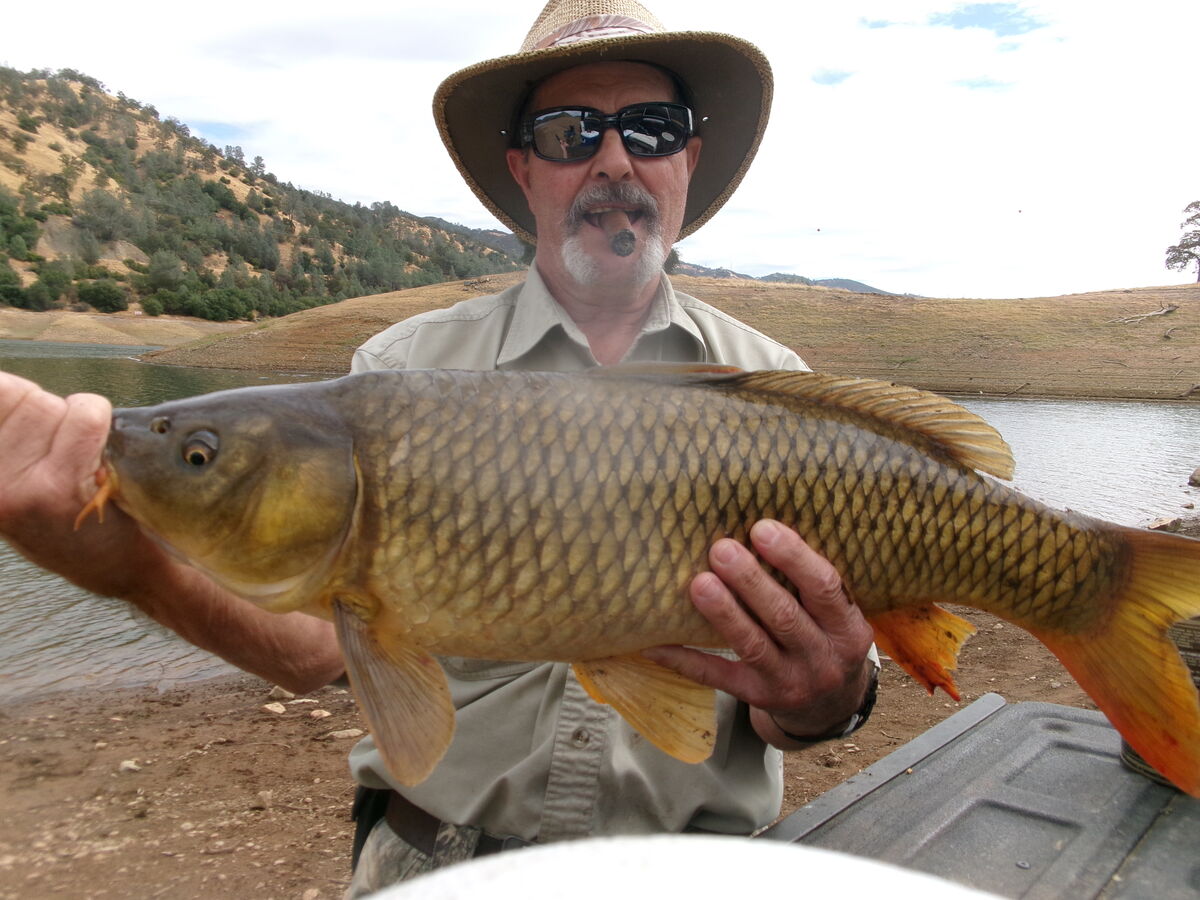 Two Big Carp: Great day for fishing, 80* with light cloud cover no wind ...