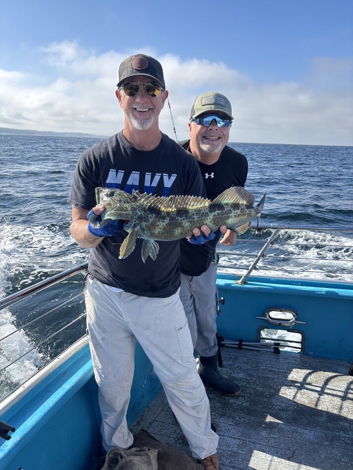 Blue Lingcod: Caught this, and many more, in Monterey this last week ...