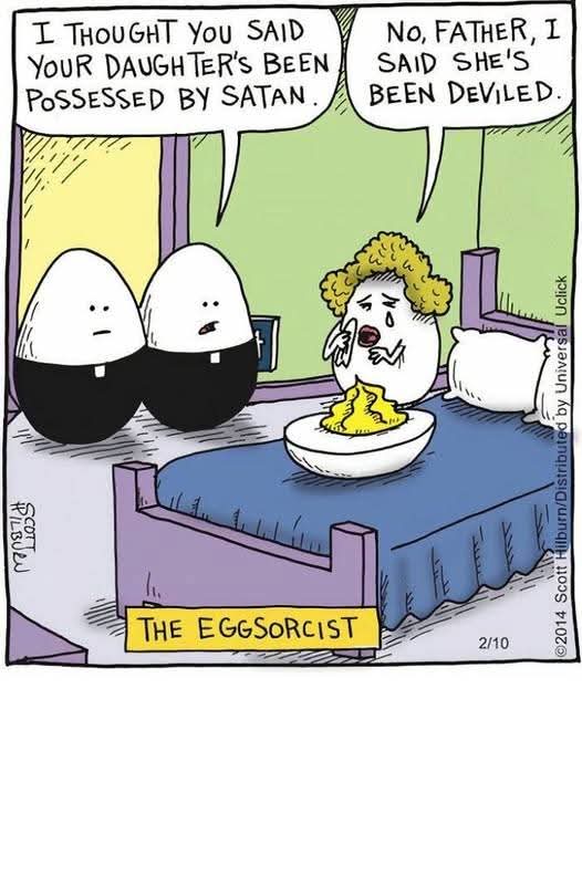 Grins and Giggles: Because we all need more humor...