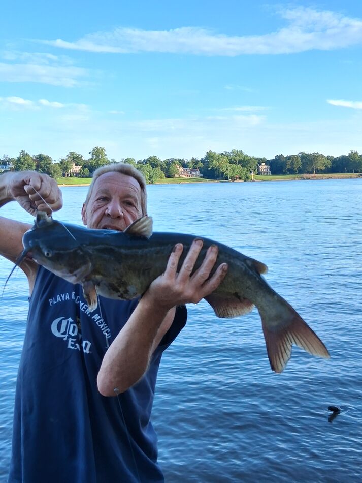 Catfish on the delaware river in Philadelphia and bucks county: Looking ...