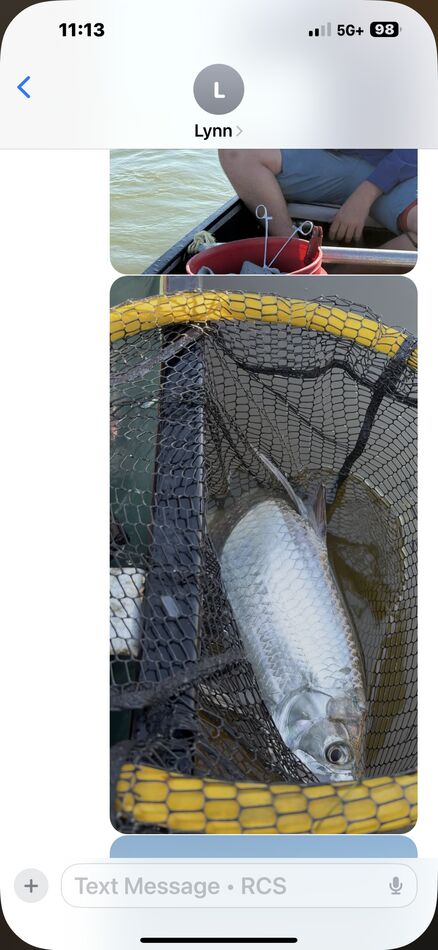 Tarpon: I’ve become addicted to trying to catch Inshore Tarpon in Texas ...