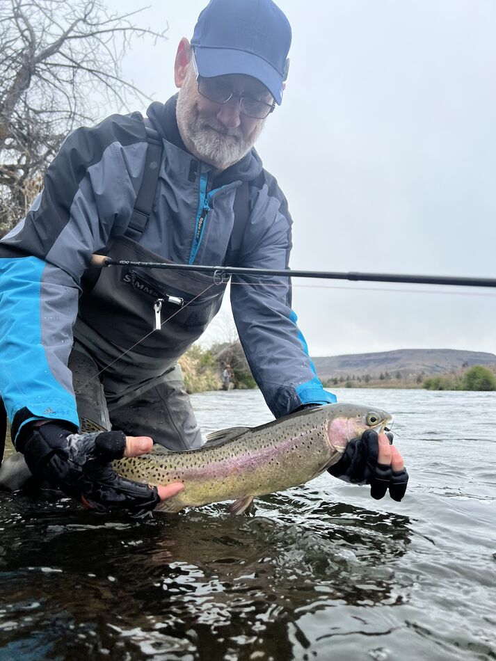May fly hatch Deschutes River: 18 in Rainbow trout caught and released ...