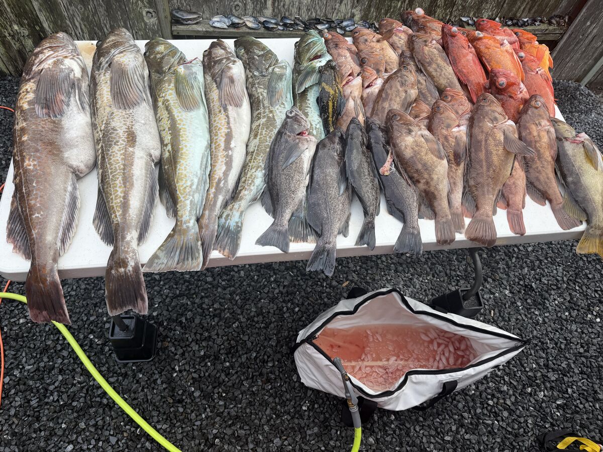 Bodega bay 10/7 - Rittenburg Bank: Took my first trip out to Rittenburg ...