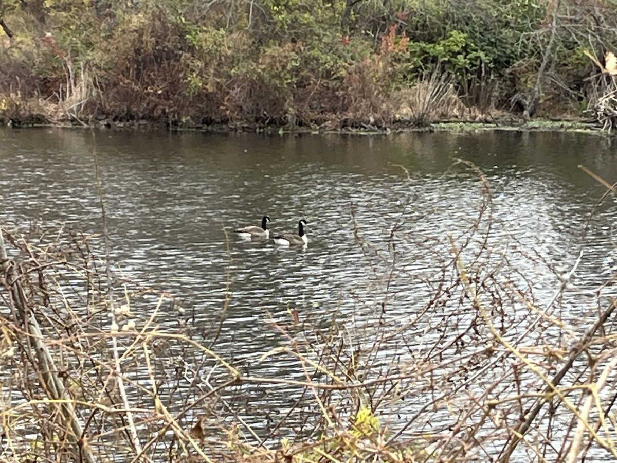 Caught 15 fish 🎣 while ultralight jigging: My friend Big John and his ...