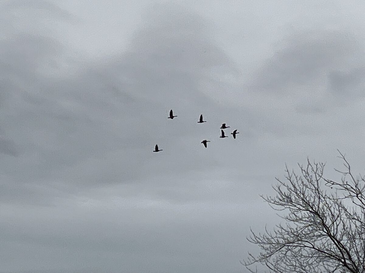 Caught 15 fish 🎣 while ultralight jigging: My friend Big John and his ...