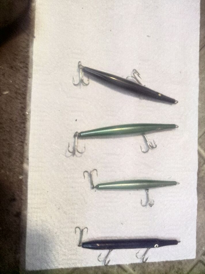 Imitate needle fish: Not many people know this lure trick for bass ...