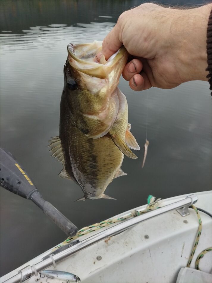 Epic day of fishing in 40 deg water: Had an epic day of catching ice ...