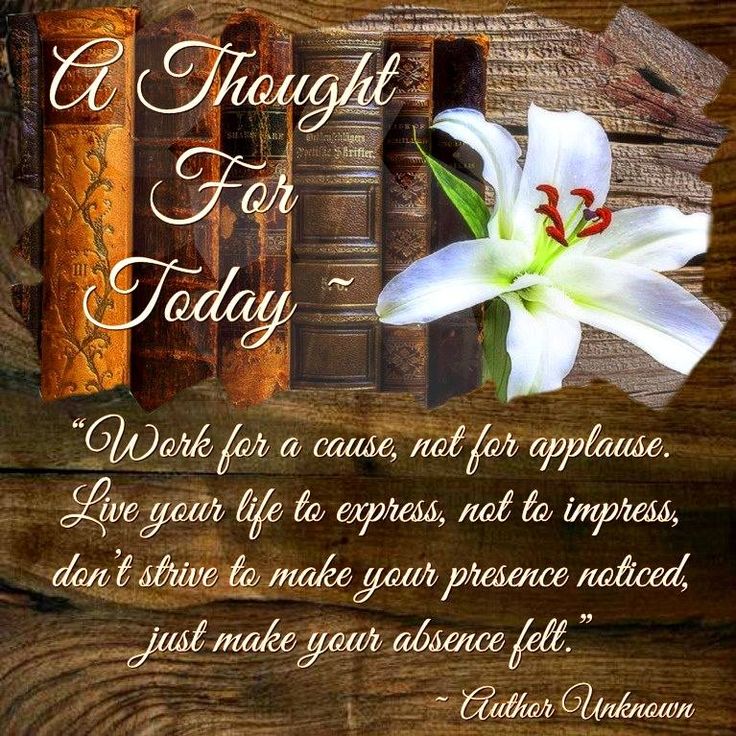 Thought for Today 11/29/2025: Truly words to live by here “ make your ...