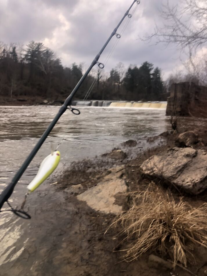 Went musky fishing 🦨: It was cold and breezy and nothing biting. I’m ...