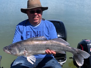 Trophy Walleye: I caught this 16 pound walleye in Montana...