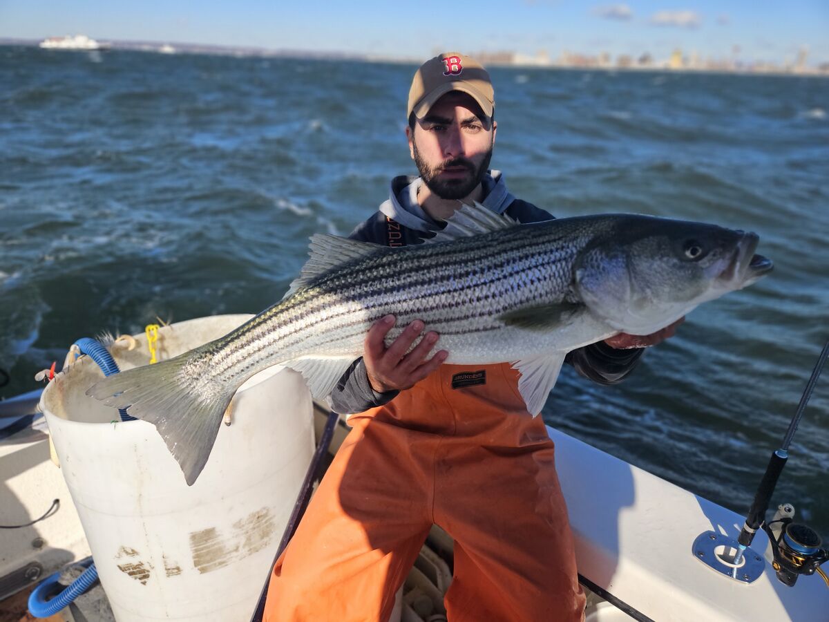 Gangsta fishing NY: Big bass plenty of them today...