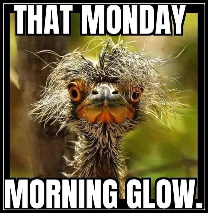 Good morning 12/1/25: Good Monday morning crew. Its the 1st of December ...
