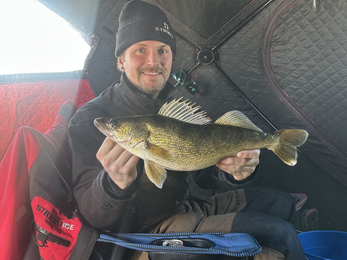 Walleye out of Oswald’s bay, devils lake: I caught this walleye last ...